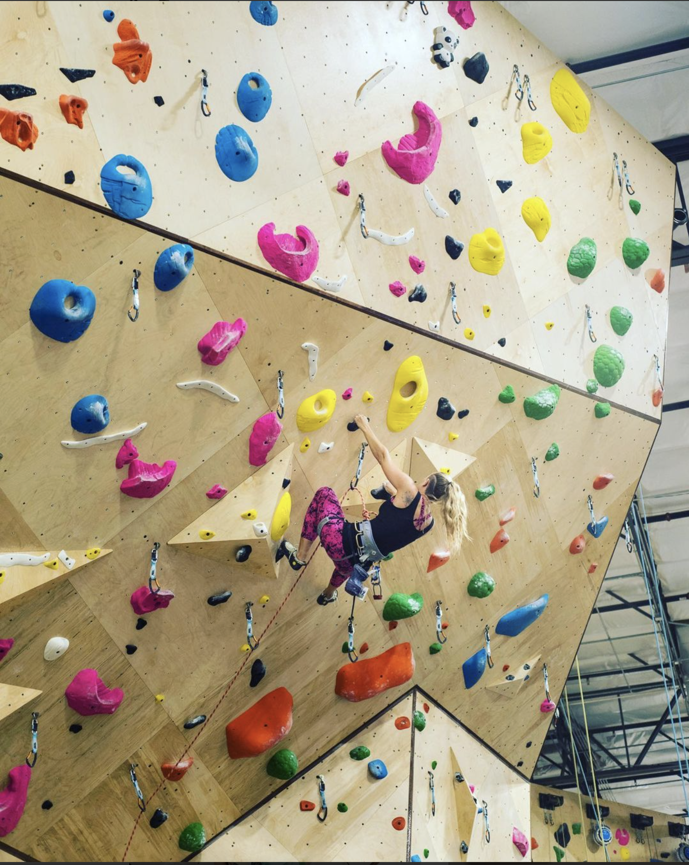 Gecko Climbing Gym
