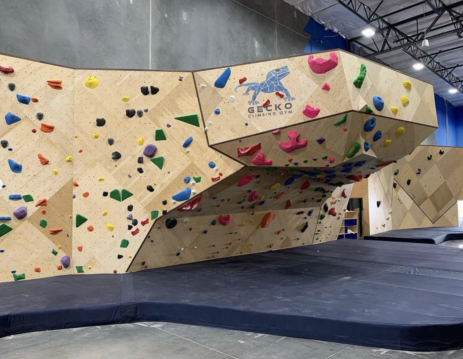 Gecko Climbing Gym